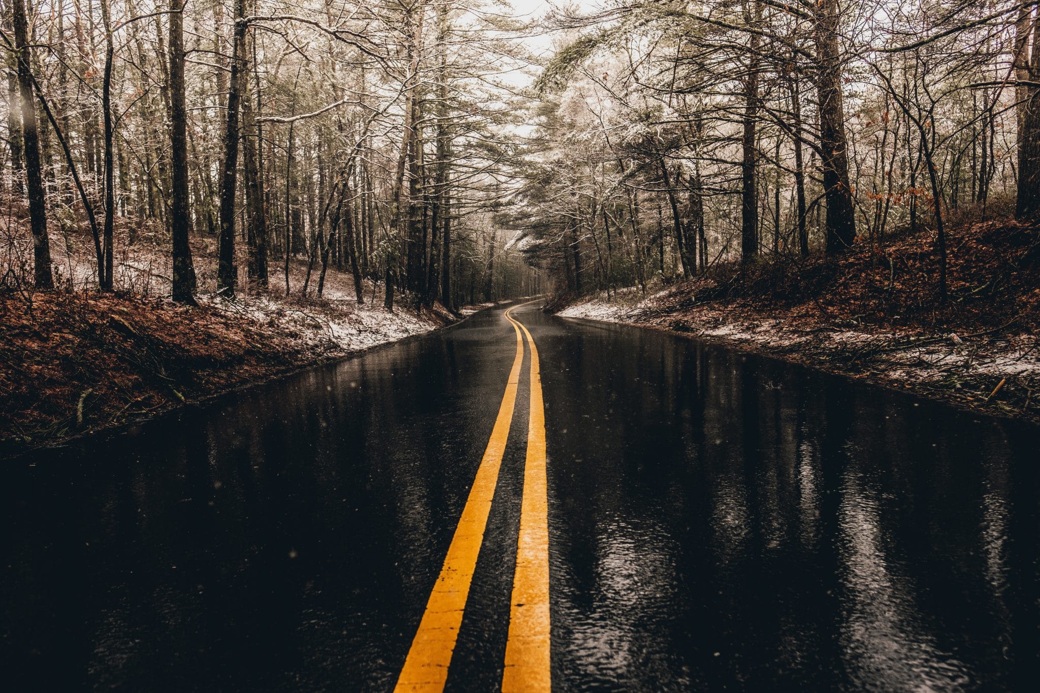 Our Tips For Driving Safely When Wet | LTrent Driving School NSW VIC